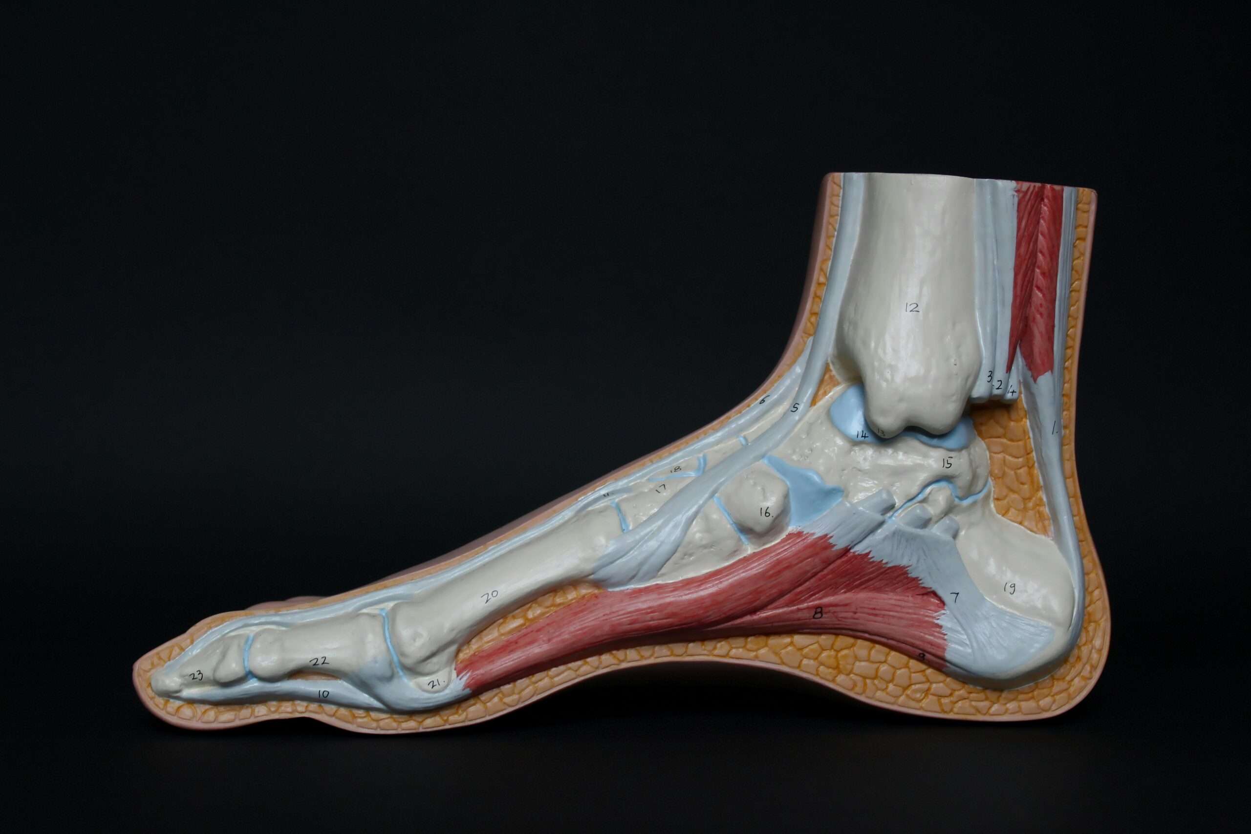 4 most common foot injuries sustained by runners