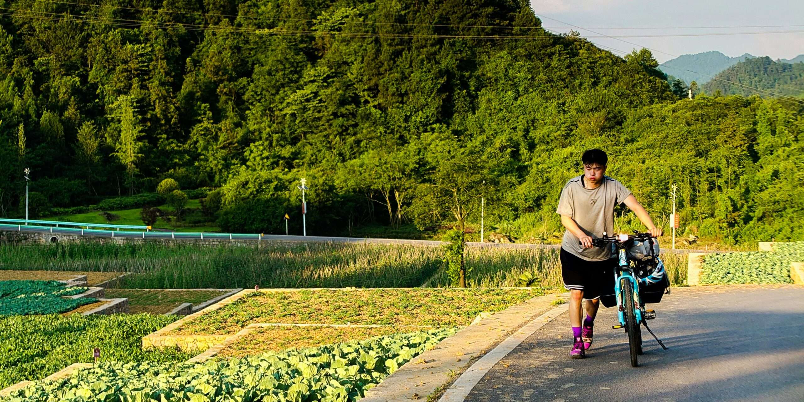 Health Benefits of Jogging