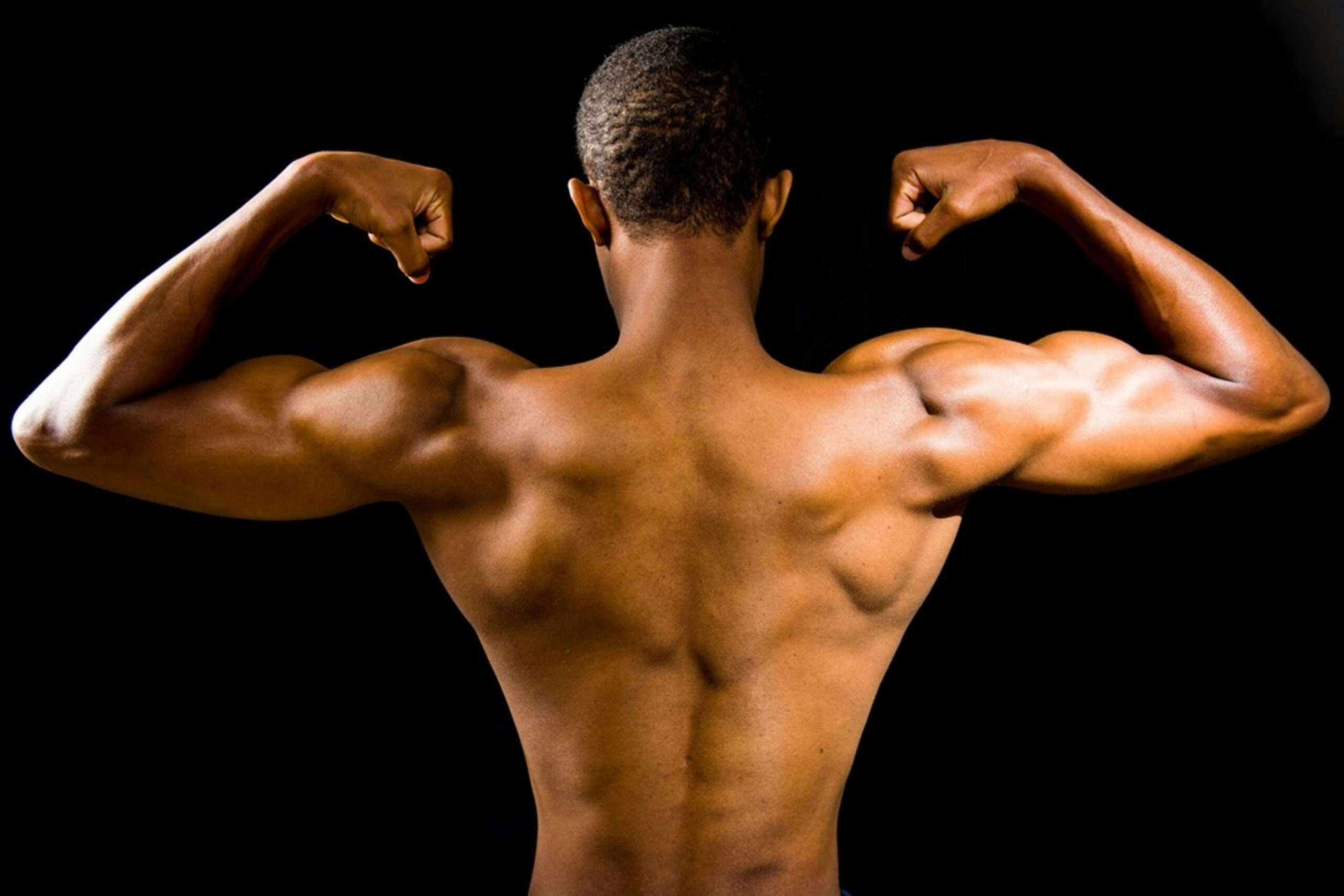 The Best Exercises for Stronger Arm Muscles